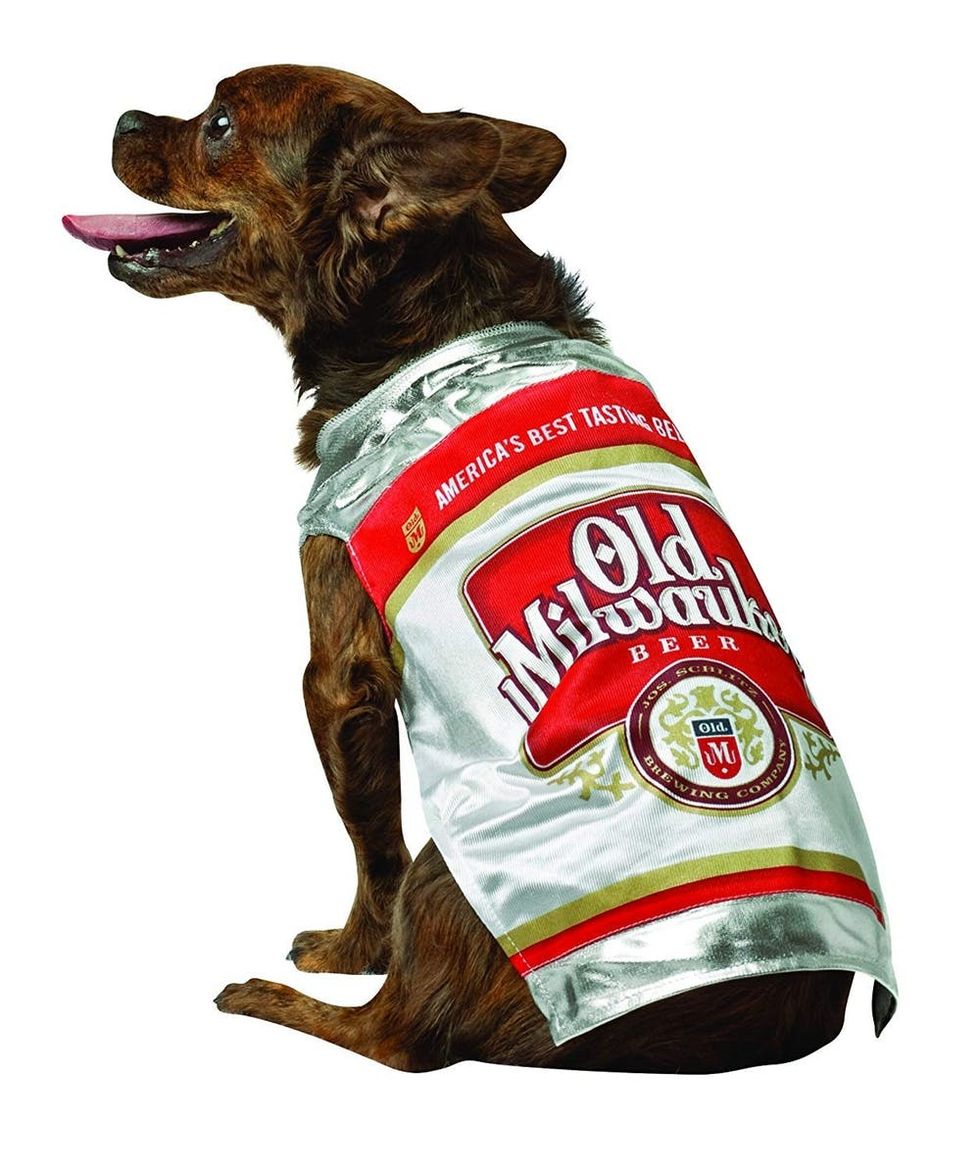 81 Dog Halloween Costume Ideas for Your Pooch - Brit + Co - Brit + Co