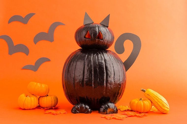 Cat Pumpkin Designs