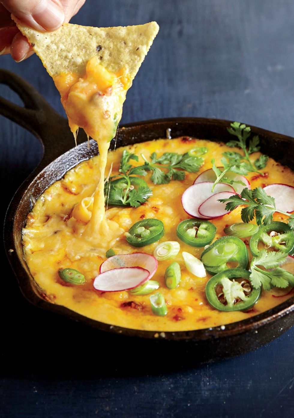 18 Queso Recipes: Tasty, Healthy & Veggie-Packed! - Brit + Co