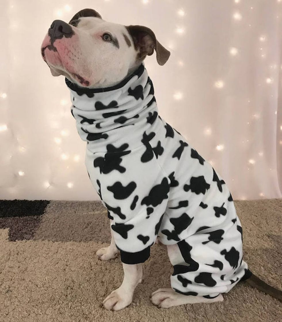 10 Dog Pajamas So Cute and Cozy You’ll Want a Matching Pair - Brit + Co