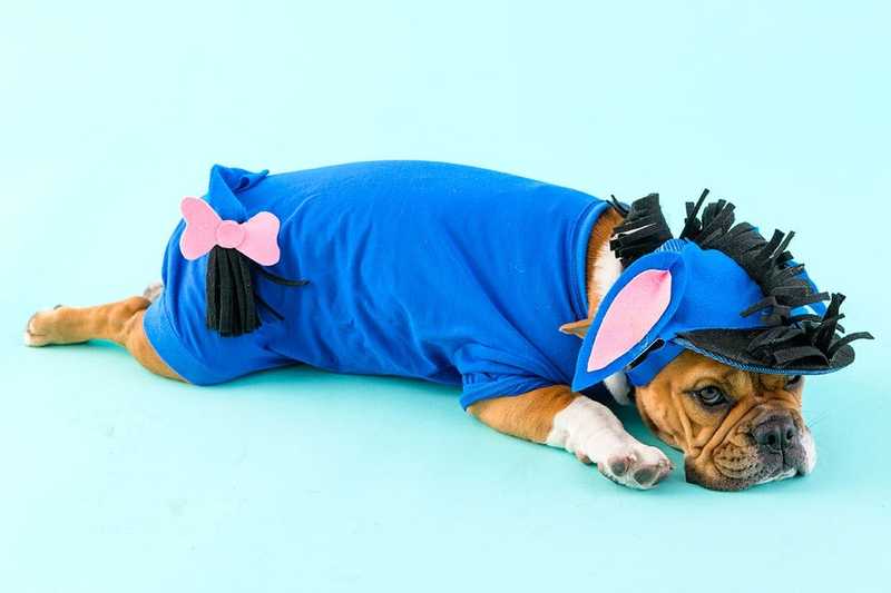 Eeyore Dog Costume Primark Disney Pet Costumes And Accessories