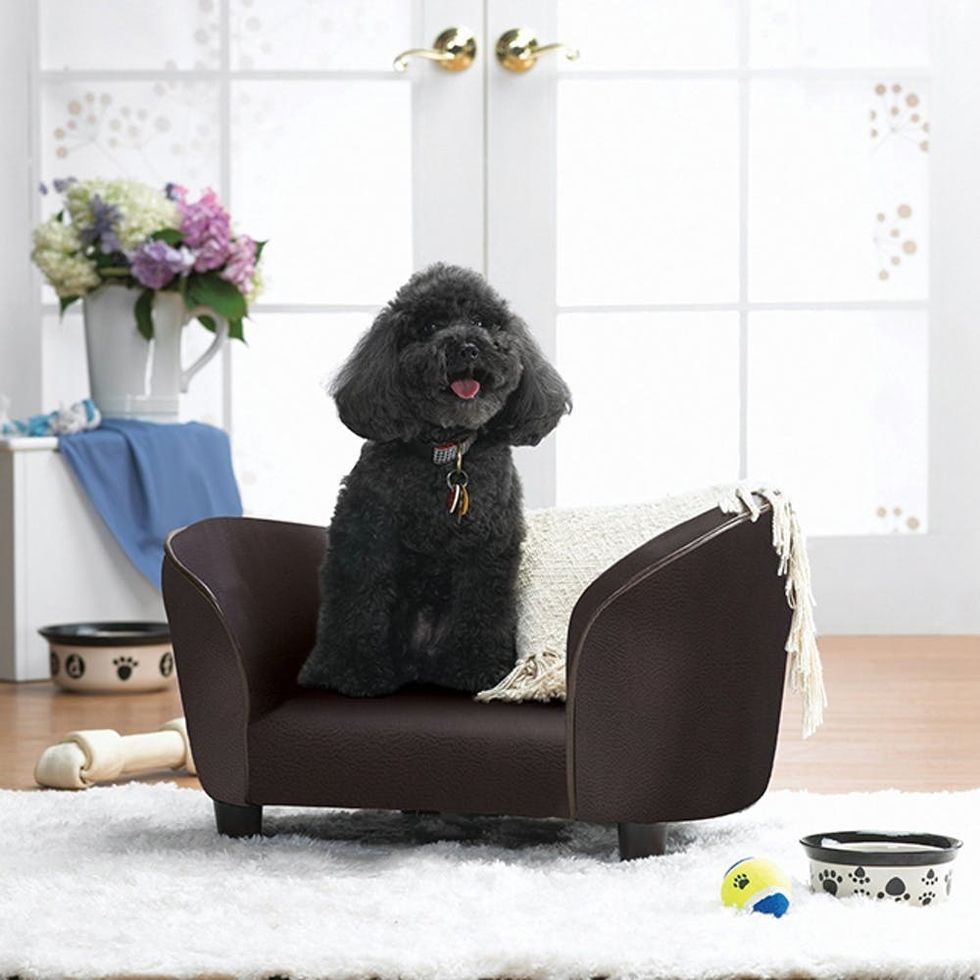 30 Pet Beds That Won’t Ruin Your Home Decor - Brit + Co