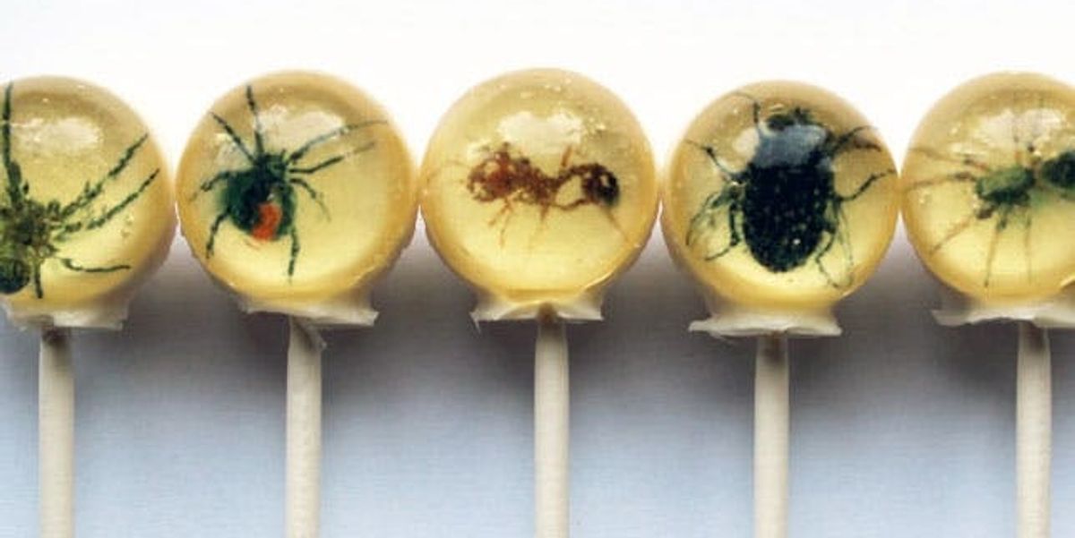 The BritList: Folding Kayaks, Insect Lollipops + More - Brit + Co