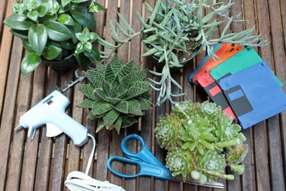 DIY Floppy Disk Planters - Brit + Co