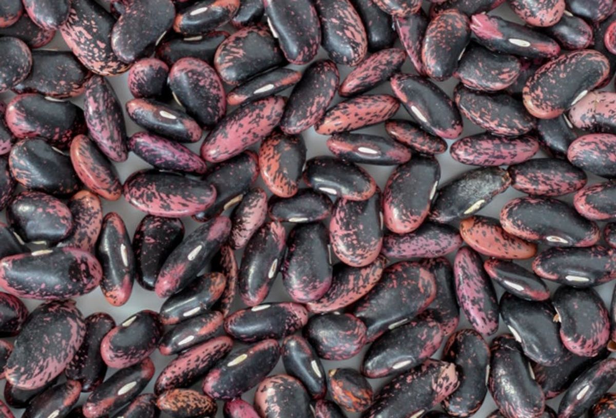 5 Tricks I Swear by for Making Beans More Digestible - Brit + Co