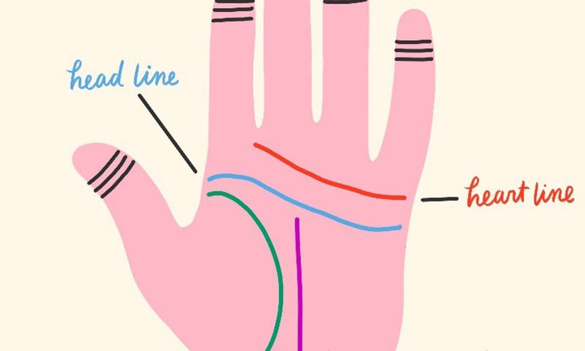 A Beginner’s Guide to Palm Reading - Brit + Co