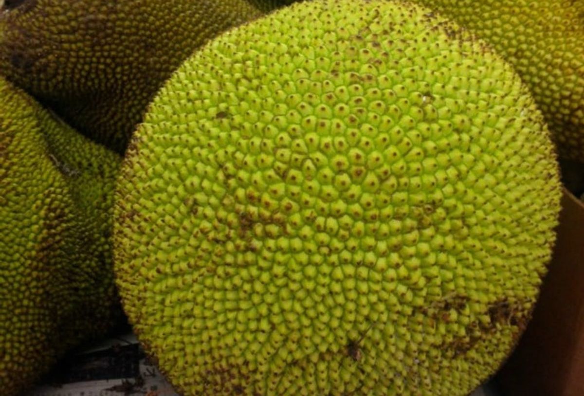 How to Prepare and Cook Jackfruit, the Latest Vegan Food Trend - Brit + Co