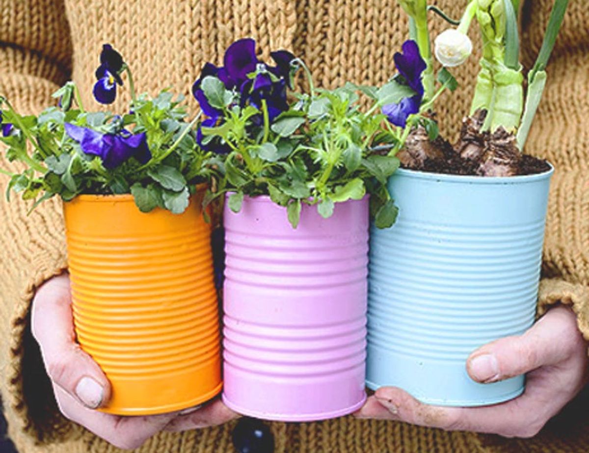 12 Upcycled Planters You Can Make From Stuff You Have at Home - Brit + Co