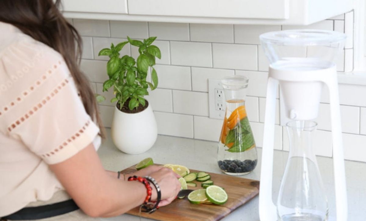Is This The Most Stylish Water Filter Ever? - Brit + Co