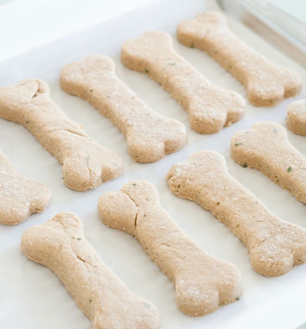 12 Recipes for Homemade Dog Treats - Brit + Co