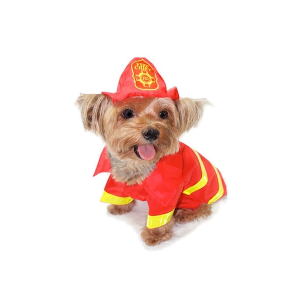 81 Dog Halloween Costume Ideas for Your Pooch - Brit + Co - Brit + Co