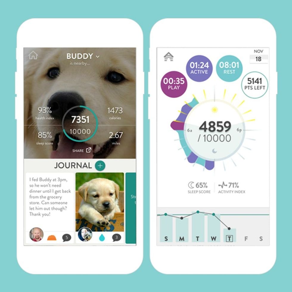 10 Dog Apps That Are Barking Genius - Brit + Co