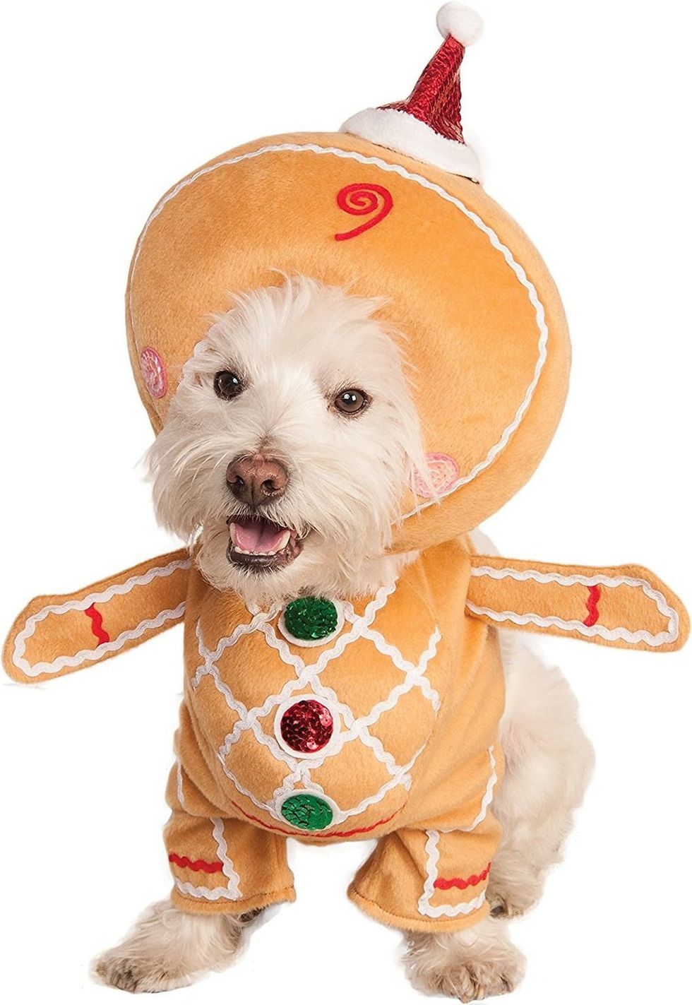 81 Dog Halloween Costume Ideas for Your Pooch - Brit + Co - Brit + Co