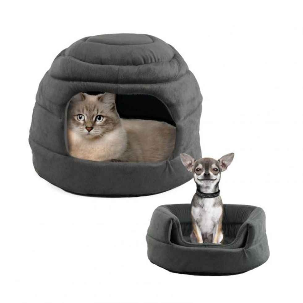 30 Pet Beds That Won’t Ruin Your Home Decor - Brit + Co
