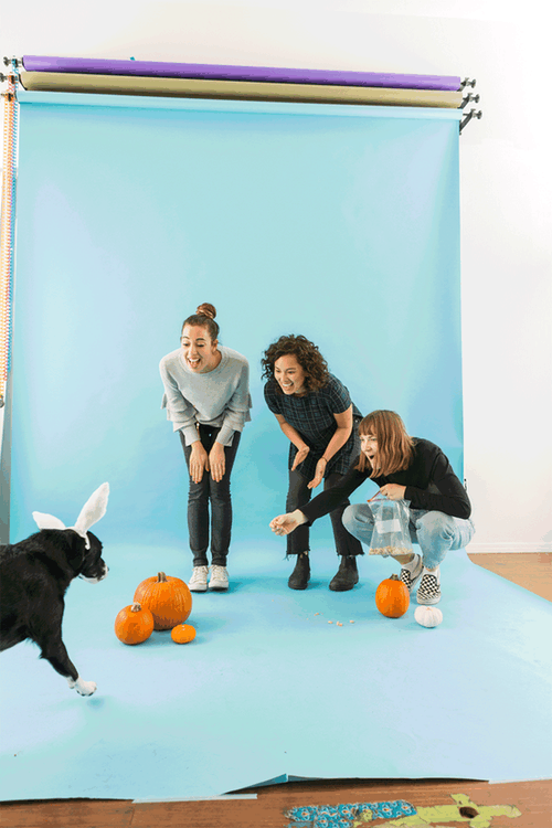 Dress Your Puppy in This Dim Sum Dog Costume for Halloween - Brit + Co