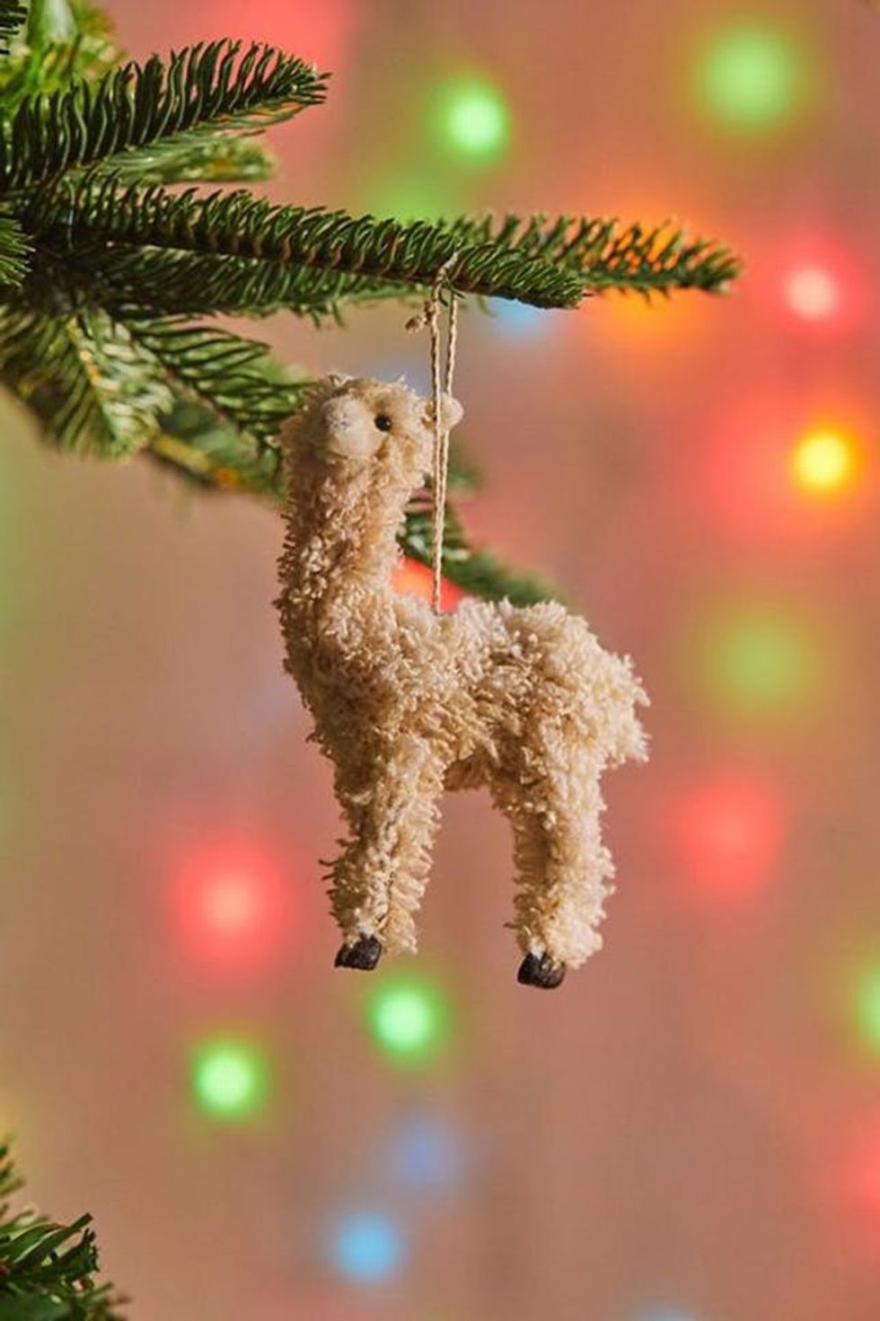 14 Adorably Festive Reasons Why Llamas Are the New Elves - Brit + Co