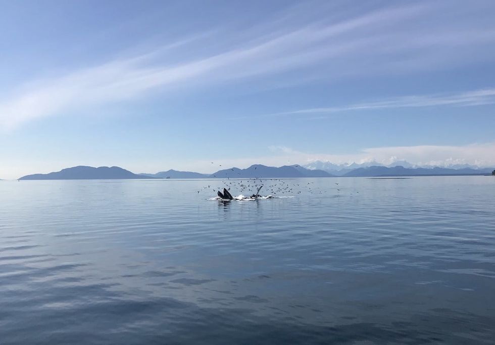 Why This Disney Cruise to Alaska Is an Adventure of a Lifetime - Brit + Co