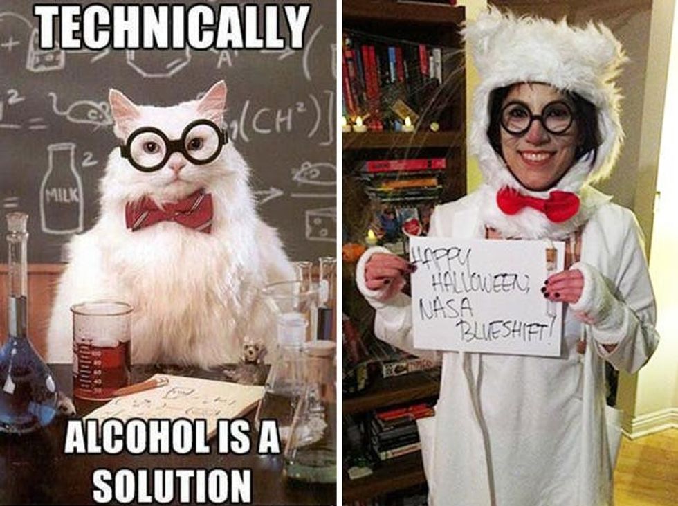 The BritList: 20 Meme Halloween Costumes You Need to See - Brit + Co