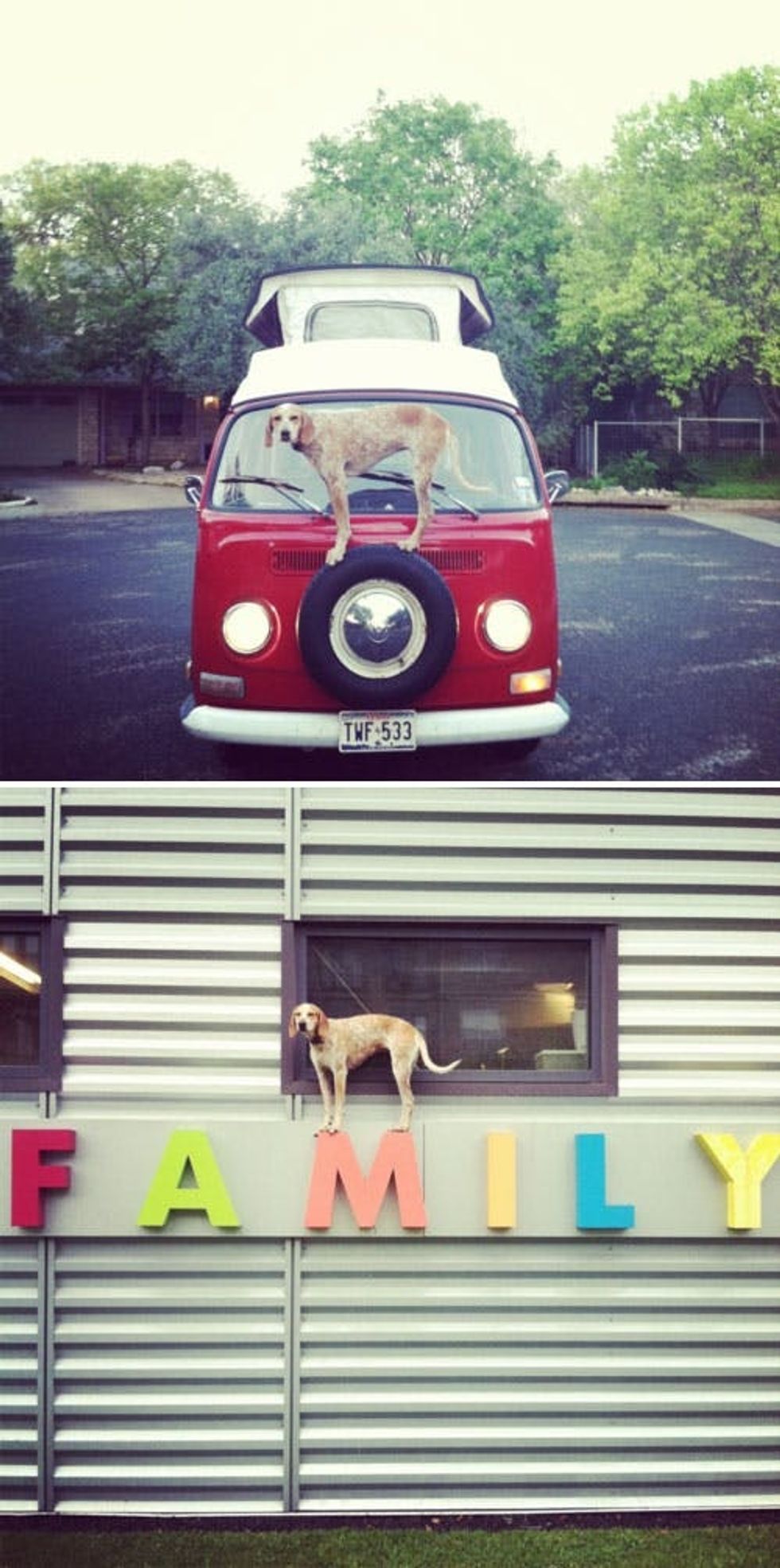 A Dozen Creative Ideas to Inspire Your Next Photo Shoot - Brit + Co