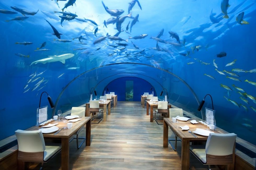 Explore 45 Unique Global Restaurants to Visit! - Brit + Co