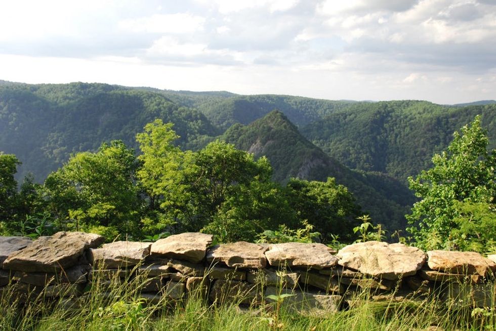 The 6 Best US Spas to Get Your Forest Bathing On - Brit + Co