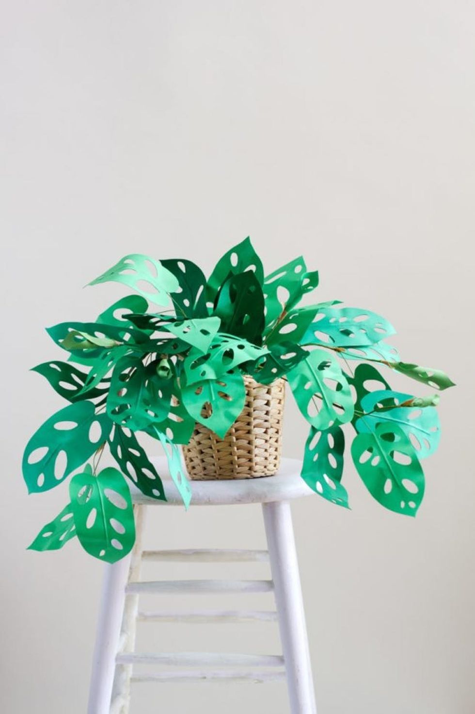 16 DIY Paper Plants to Make Your Indoor Garden a Reality - Brit + Co