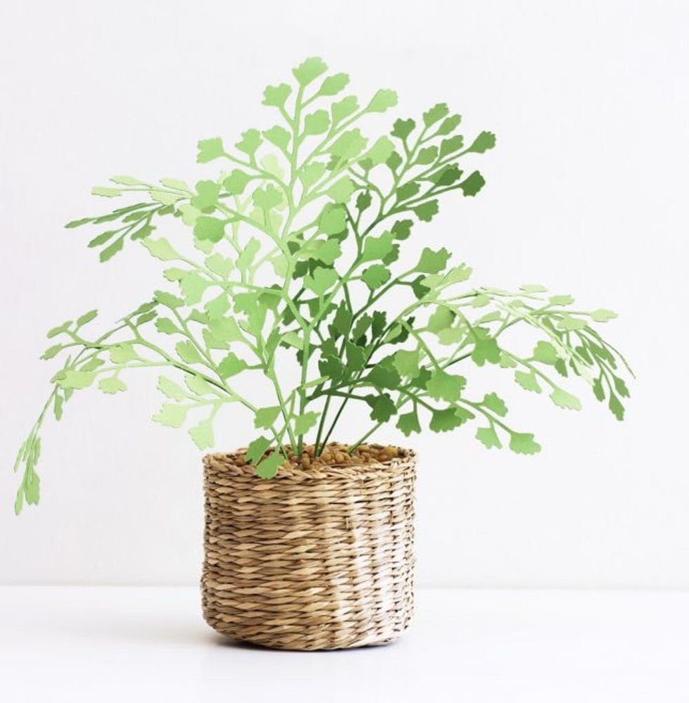 16 DIY Paper Plants to Make Your Indoor Garden a Reality - Brit + Co