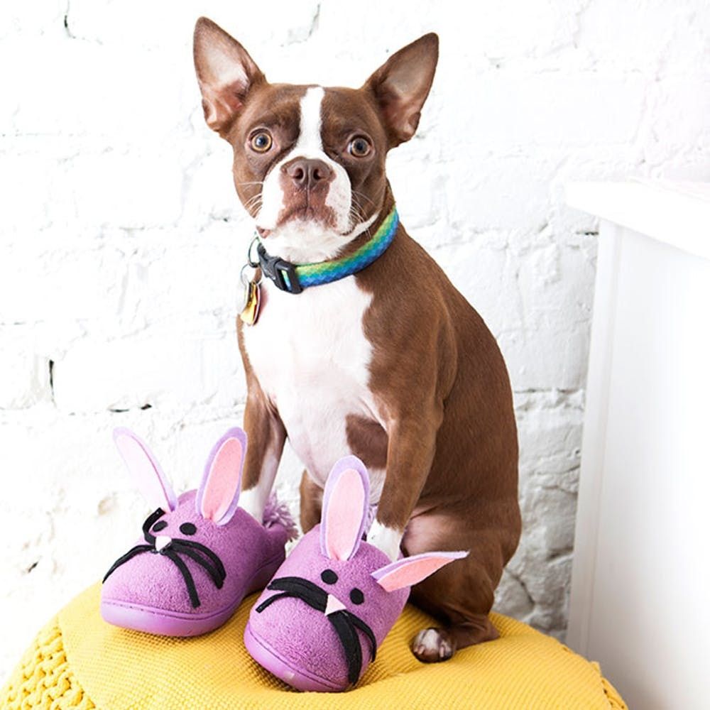 Bunny Wearing Bunny Slippers