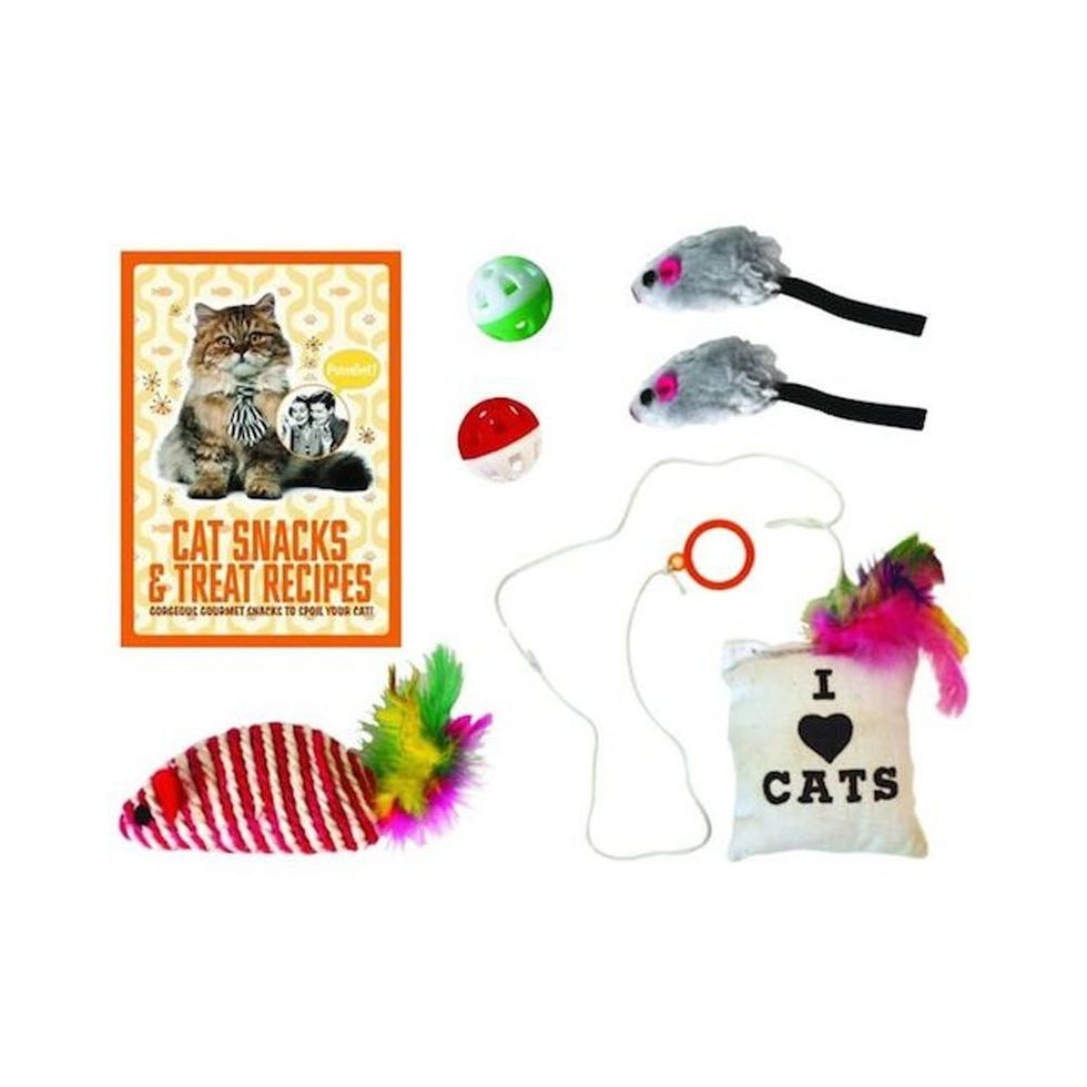 27 Must-Have Gifts for First-Time Pet Parents - Brit + Co