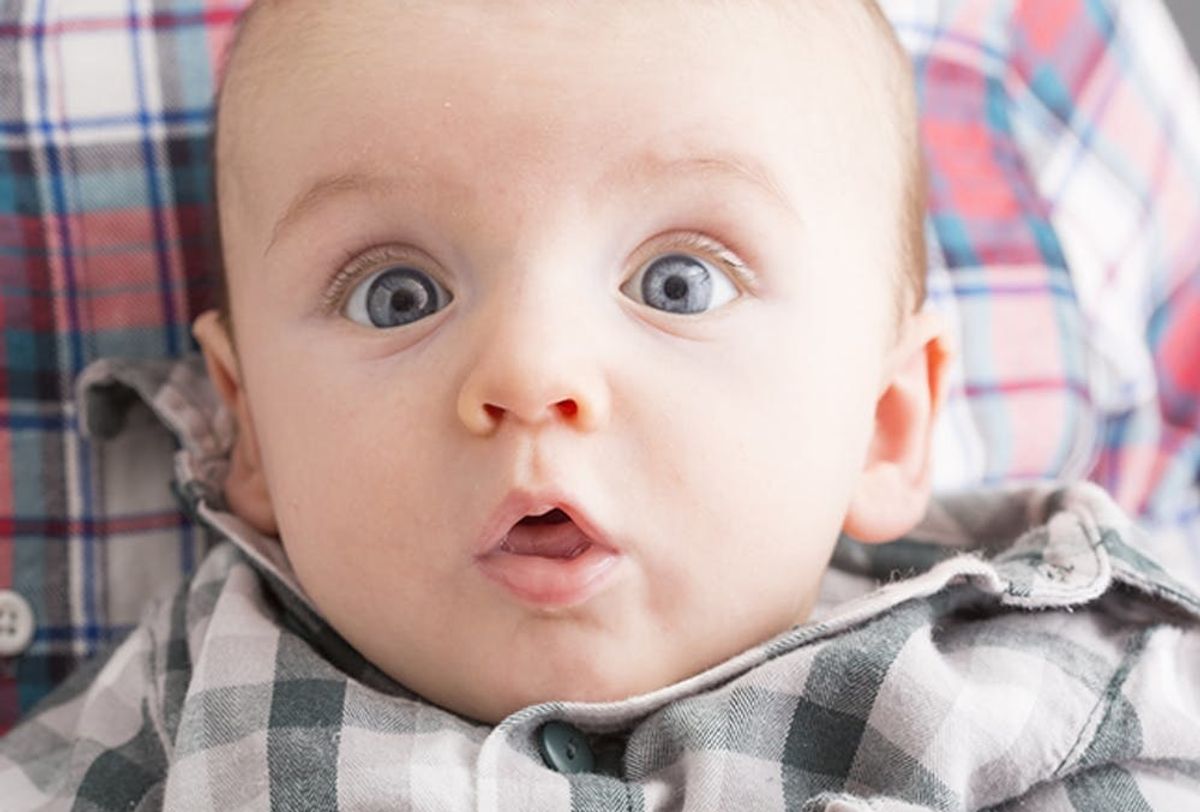 20 Pet Names That Make Adorable Baby Names Brit Co 20 Pet Names That Make Adorable Baby Names Brit Co