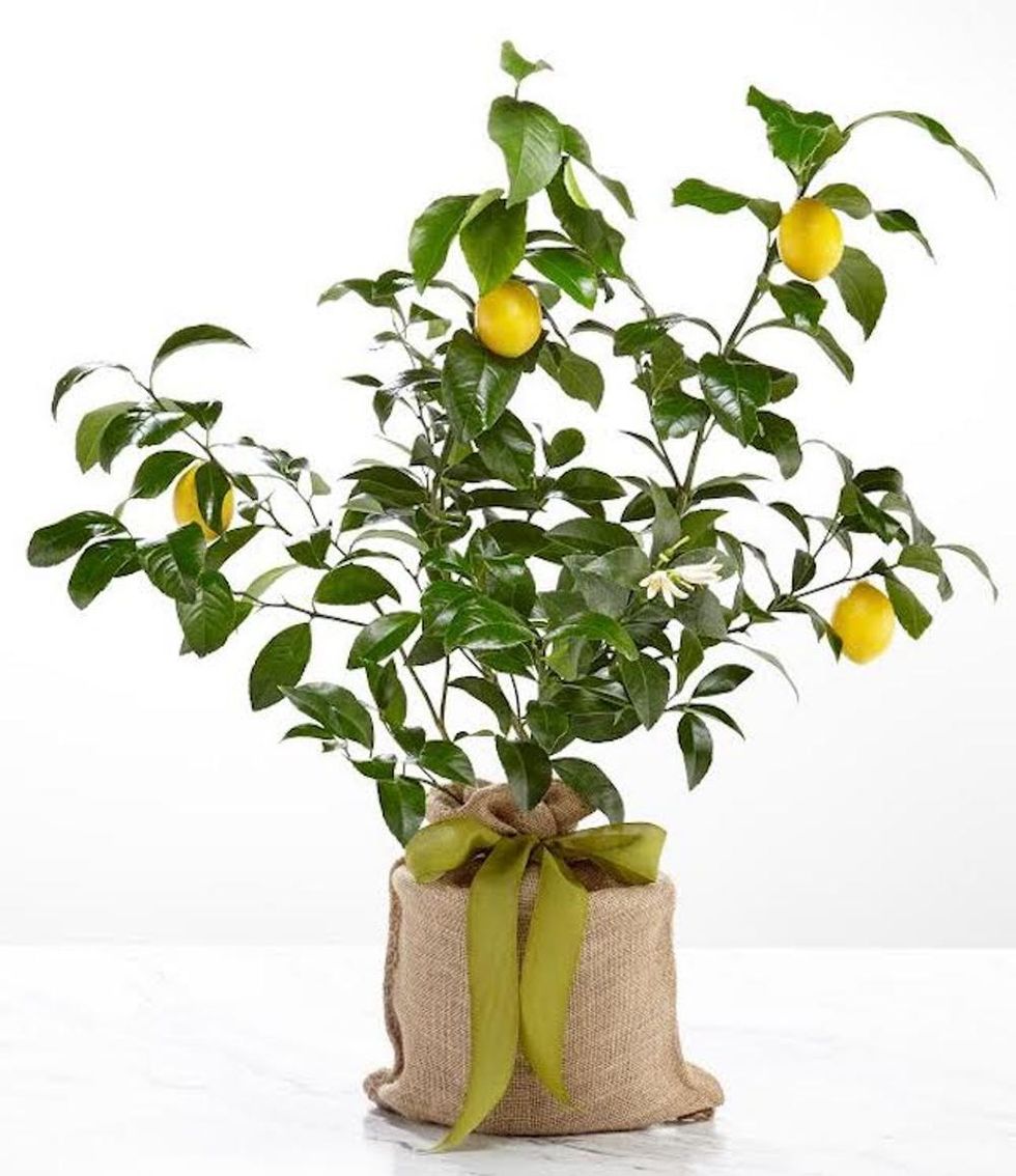 Mother’s Day Gift Guide 2018: 45 Ideas for Thoughtful Presents - Brit + Co