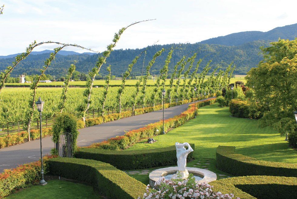 Unlock Napa Valley: Insider Tips for a Perfect Weekend - Brit + Co