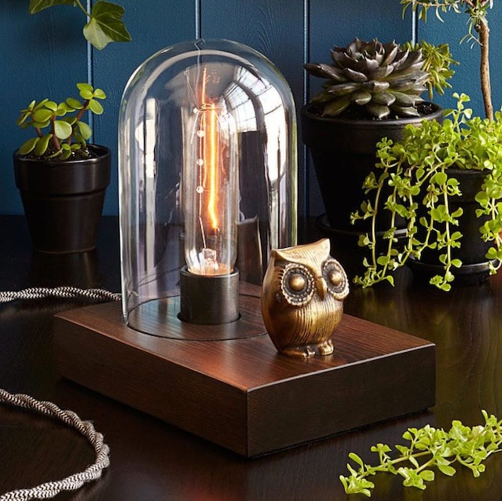 16 Gifts That Any Night Owl Will Stay Up For - Brit + Co