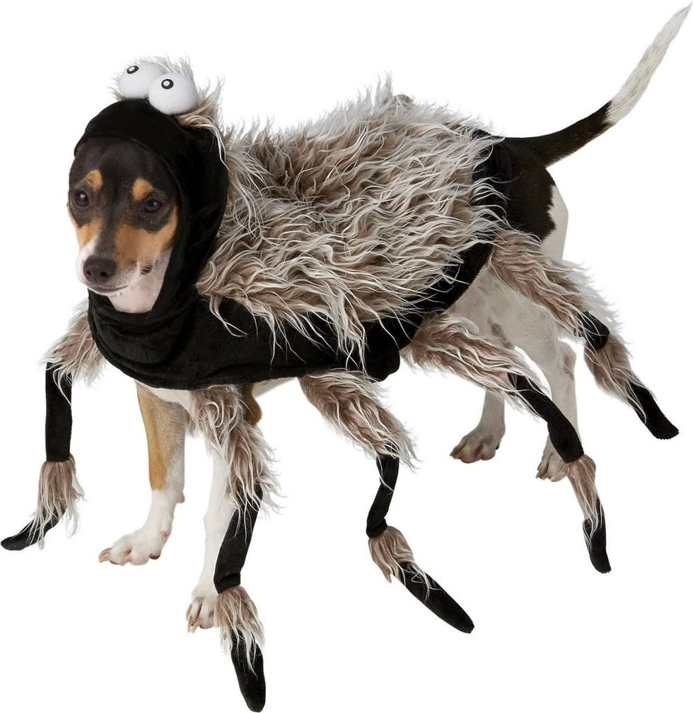 81 Dog Halloween Costume Ideas for Your Pooch - Brit + Co - Brit + Co