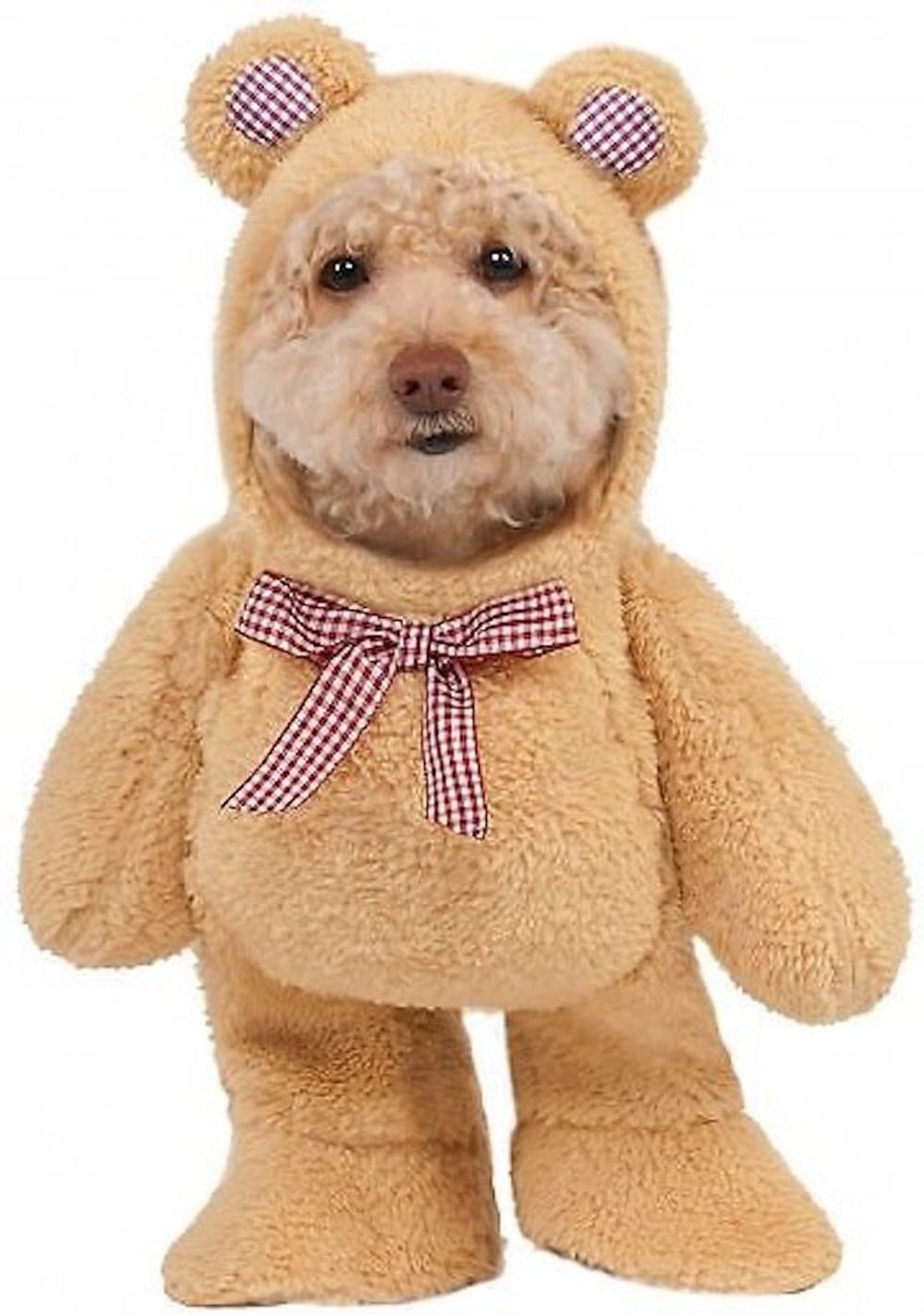 81 Dog Halloween Costume Ideas for Your Pooch - Brit + Co - Brit + Co