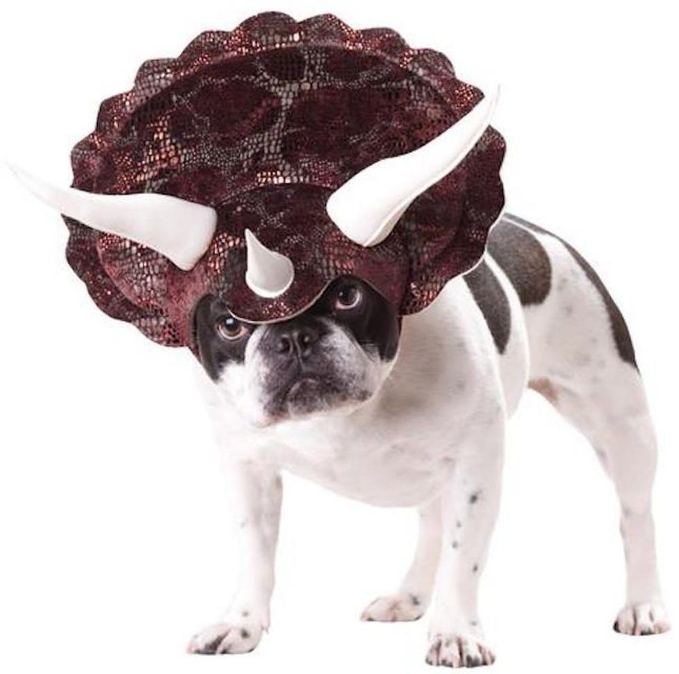 81 Dog Halloween Costume Ideas for Your Pooch - Brit + Co - Brit + Co