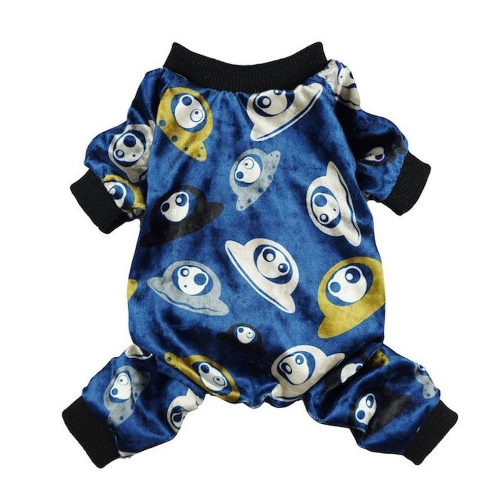 10 Dog Pajamas So Cute and Cozy You’ll Want a Matching Pair - Brit + Co